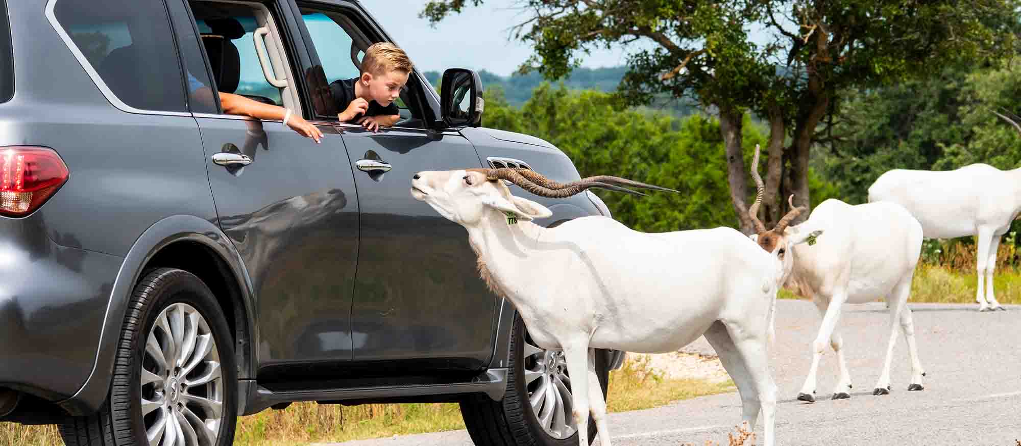 Contact - Fossil Rim Wildlife Center